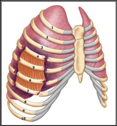 Clavus (Corn) - Definisi, Penyebab, Gejala, dan Tata Laksana | AI Care